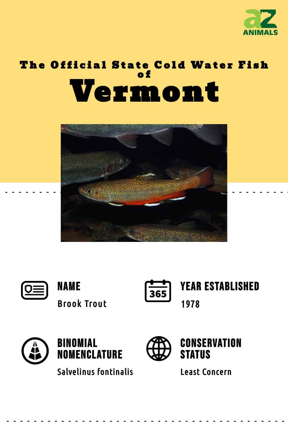 Discover the Official State Fish of Vermont (And Where You Might Spot ...