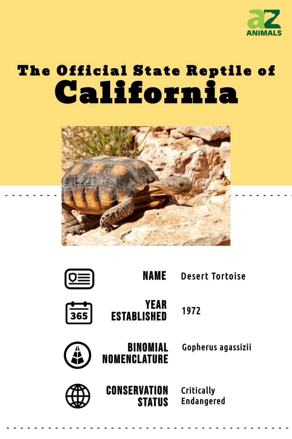 Discover the Official California State Reptile (It's Illegal to Touch ...