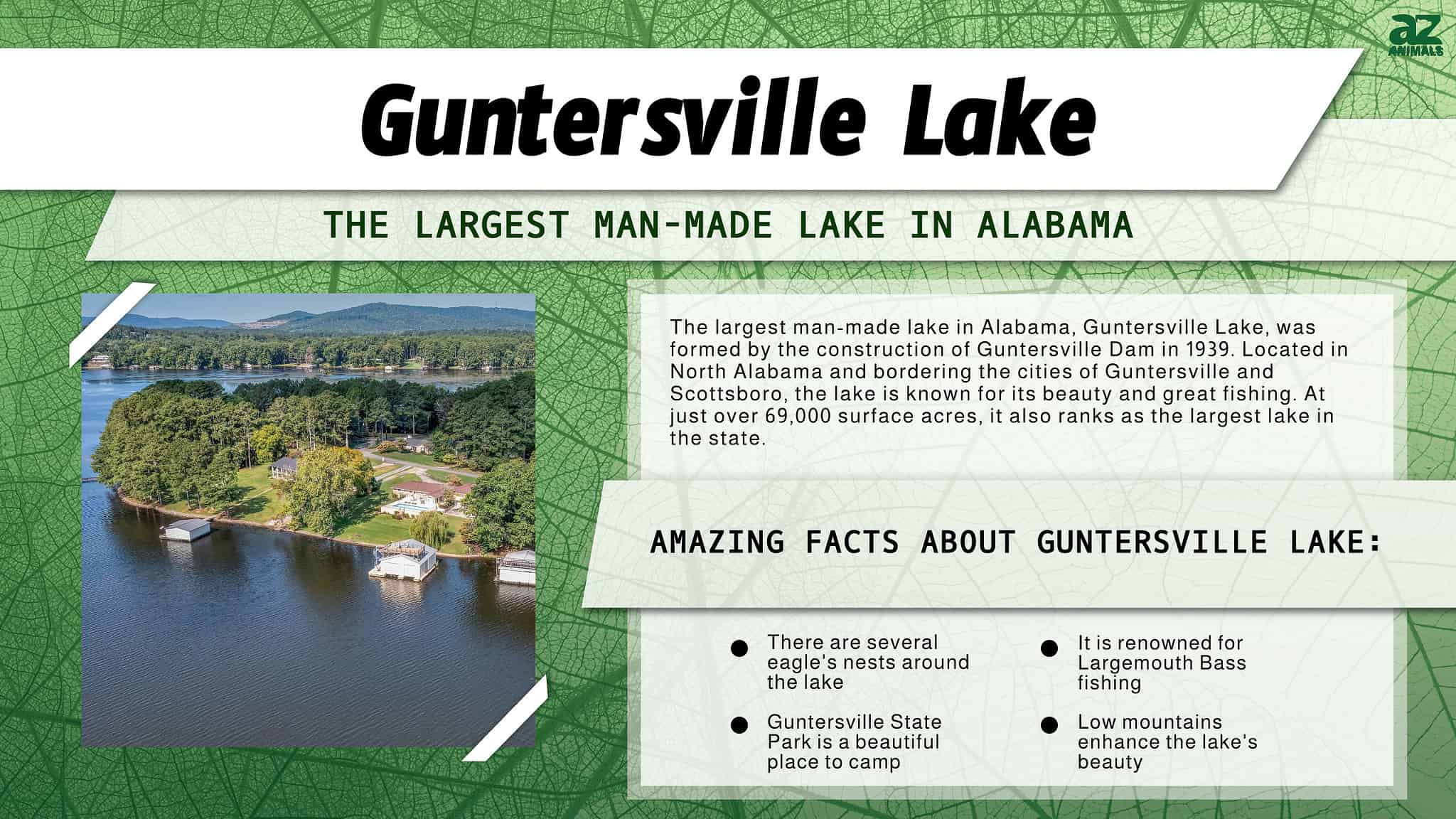 What's the Largest Man-Made Lake in Alabama - A-Z Animals