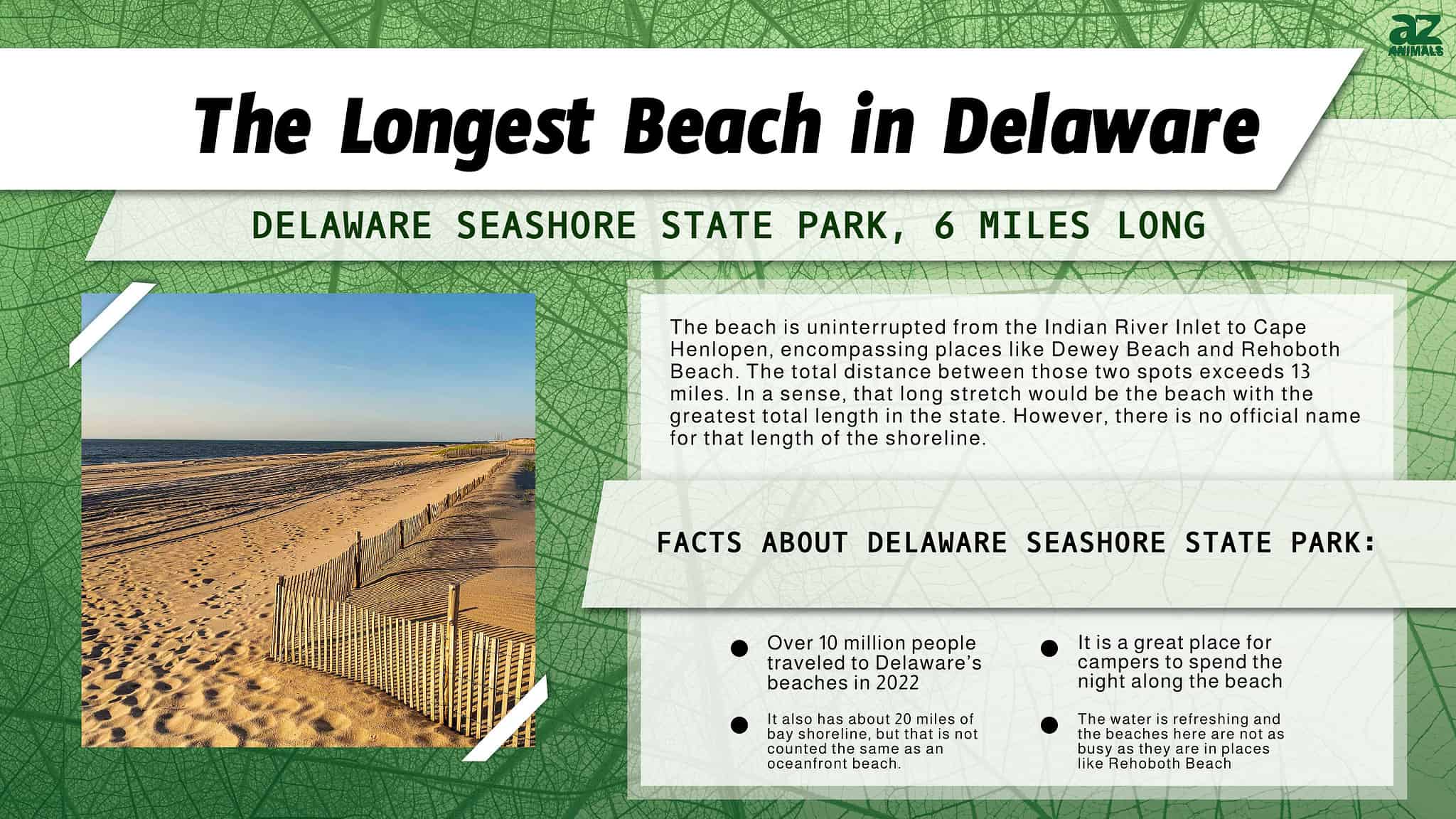 The Longest Beach in Delaware Is 6 Miles of Beauty - A-Z Animals