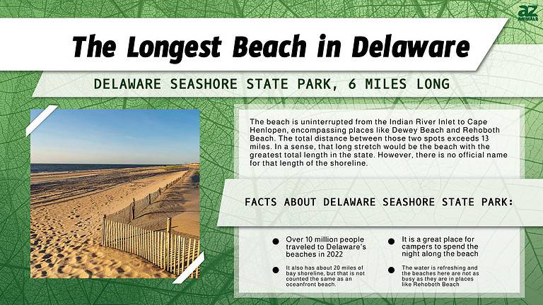 The Longest Beach in Delaware Is 6 Miles of Beauty - A-Z Animals