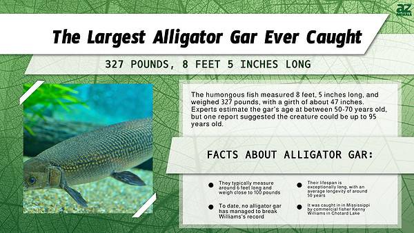 Texas Man Snags a Massive Alligator Gar the Size of a Refrigerator - A ...