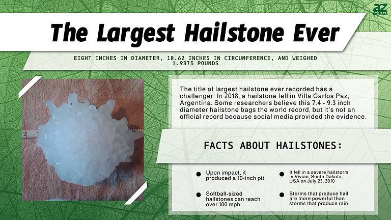 Discover the Largest Hailstone Ever (Bigger Than a Softball) - A-Z Animals