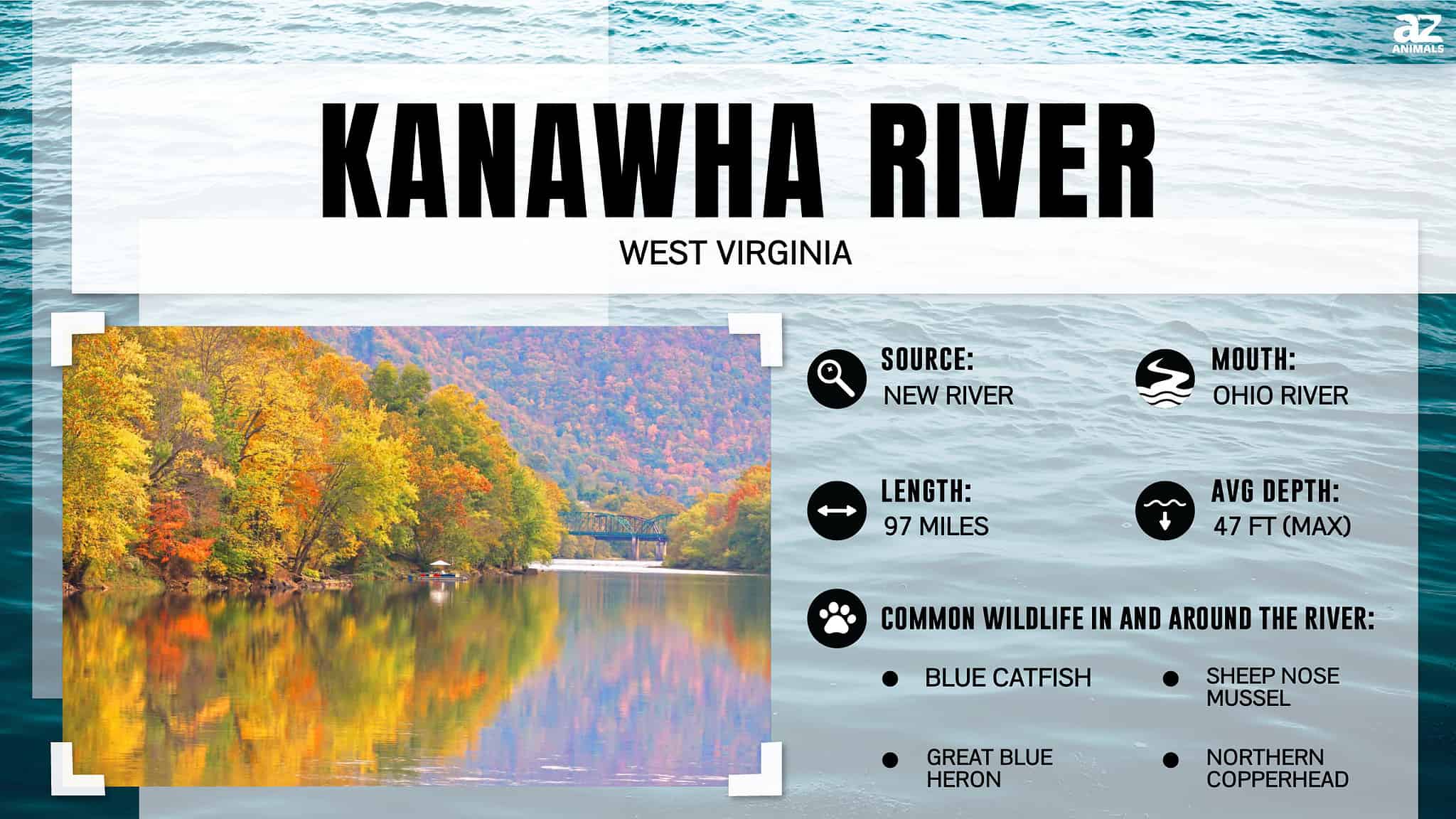 What's in West Virginia's Kanawha River and Is It Safe to Swim In? - A ...