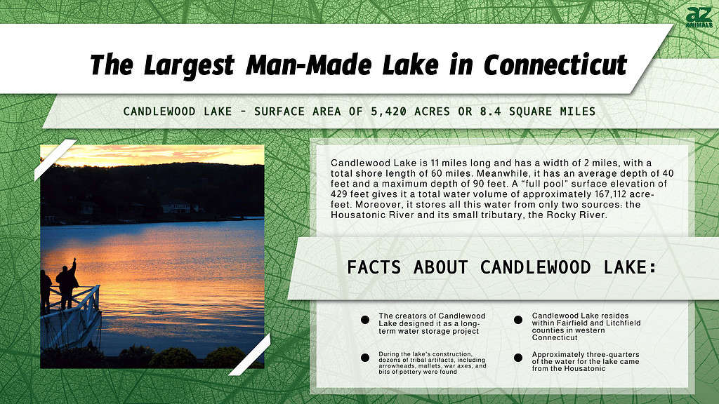 What's the Largest Man-Made Lake in Connecticut? - A-Z Animals