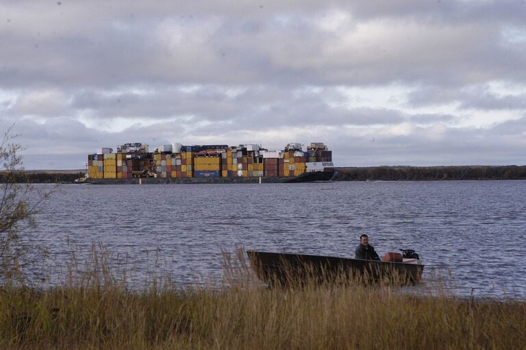 What's in the Kuskokwim River and Is It Safe to Swim In? - A-Z Animals
