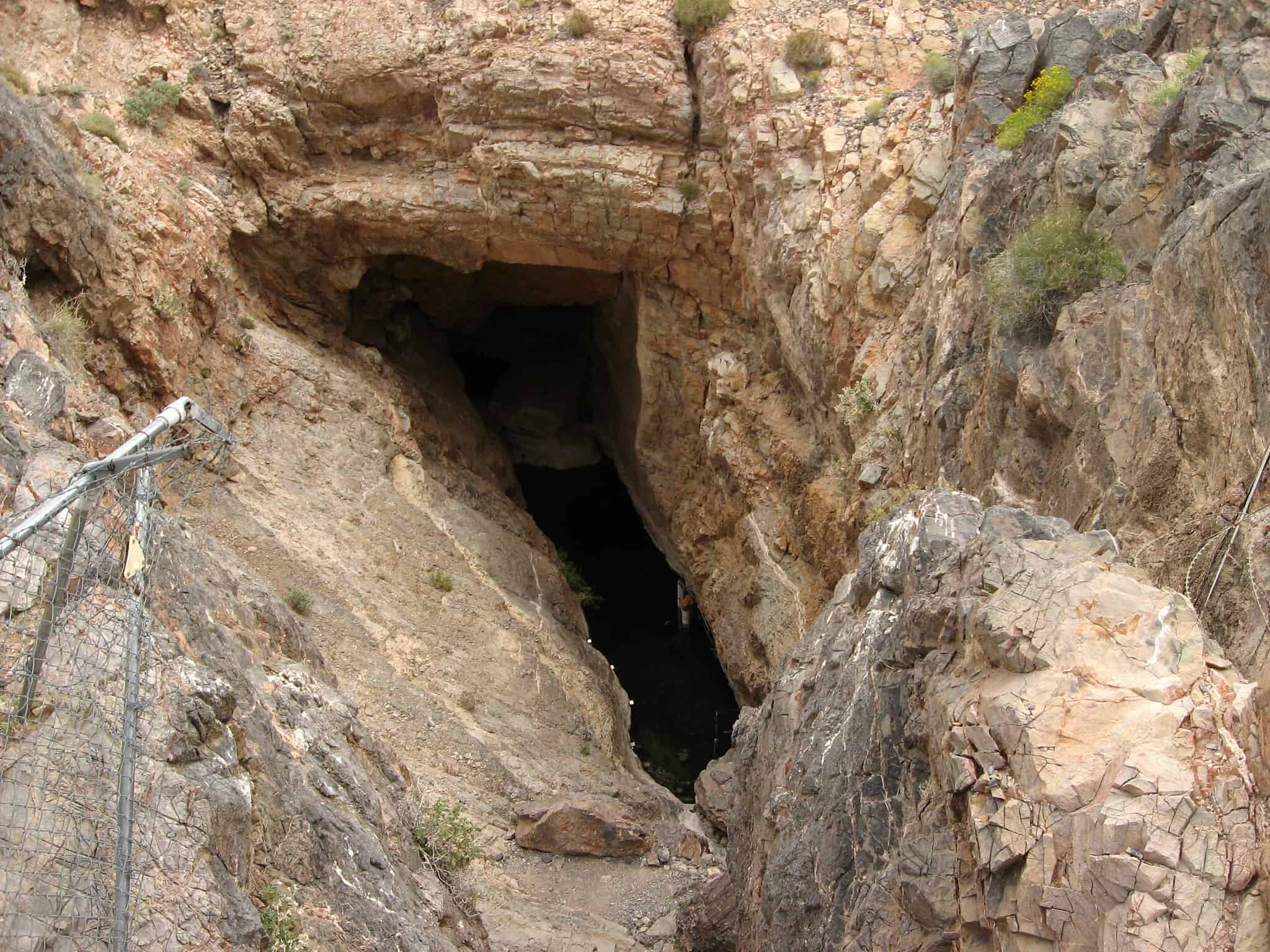One Pool, One Species: How the Devils Hole Pupfish Became Earth’s Most ...