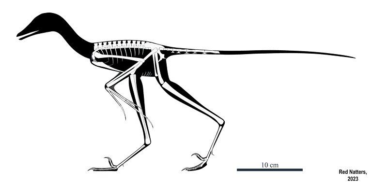 Recently Discovered Bird-Like Dinosaur Throws Scientists a Curveball ...