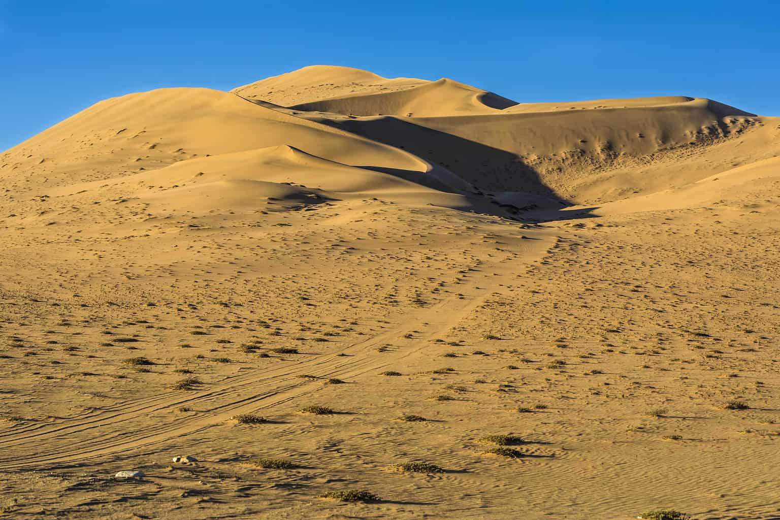 Tiny Worms Are Thriving in the Atacama Desert Where Almost Nothing ...
