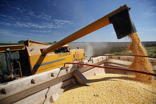 The Top 10 Most Valuable Crops Harvested in Michigan - A-Z Animals