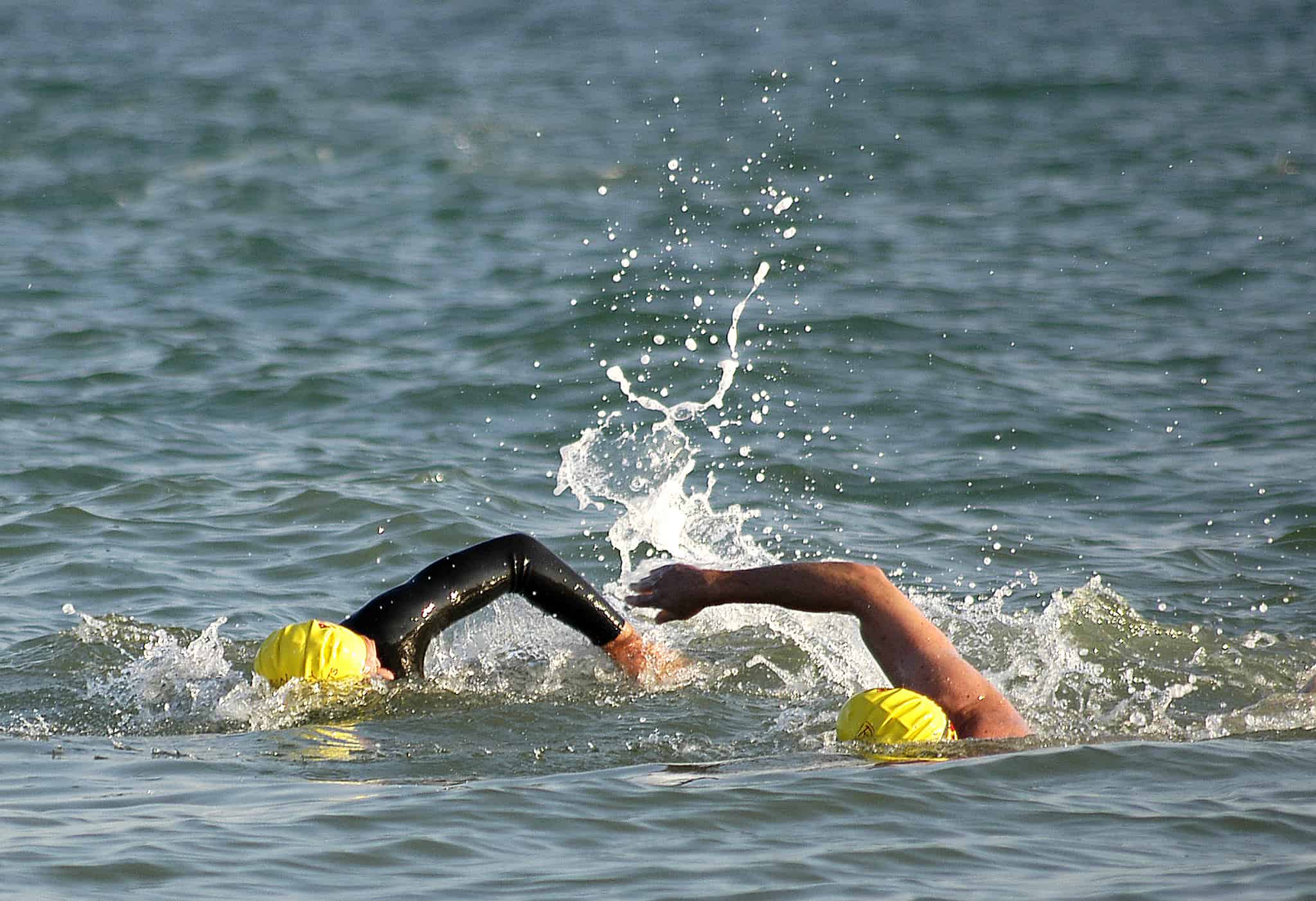 Drone Catches Great White Shark Closely Following Open Water Swimmer ...