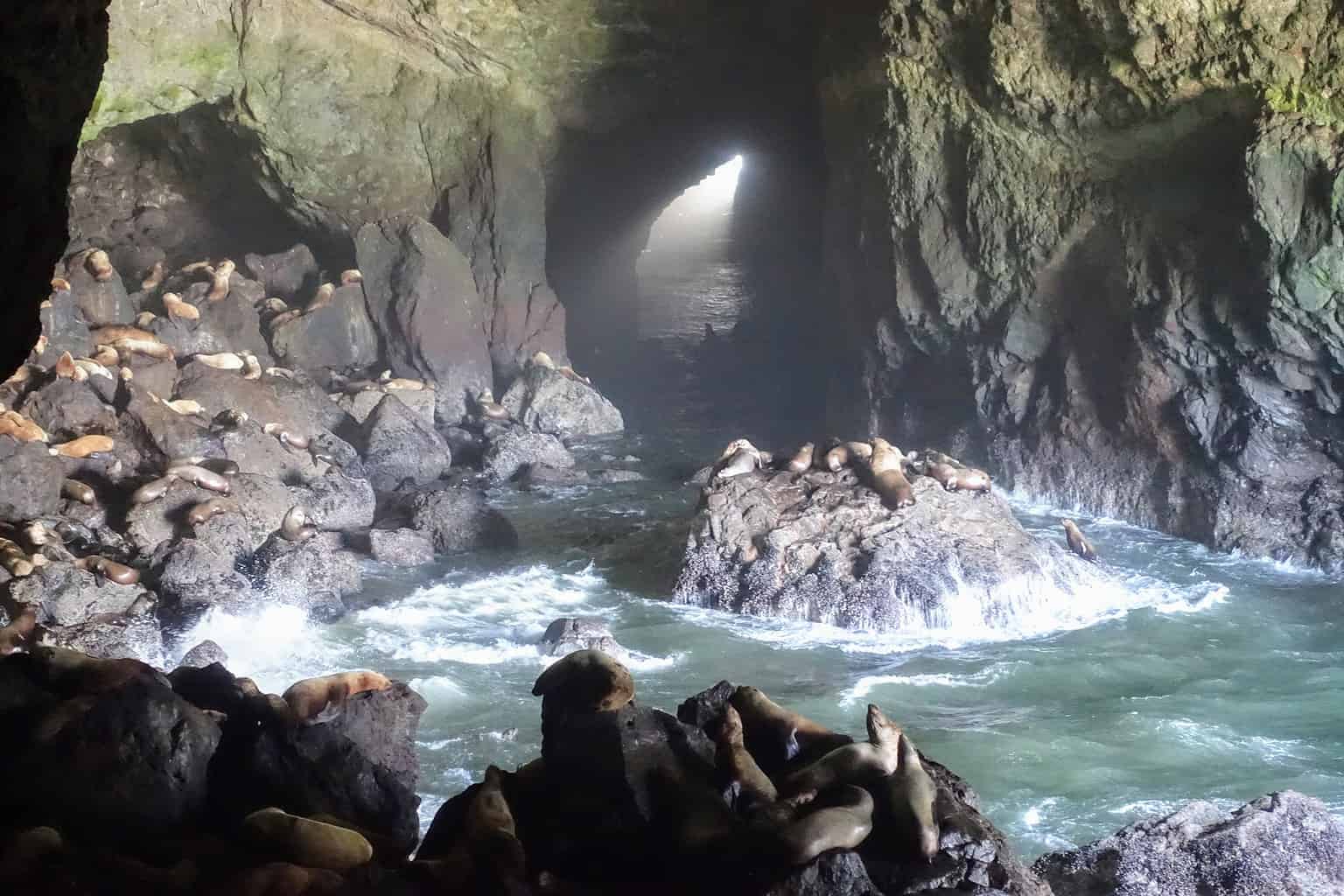 15 Incredible Caves In Oregon (From Popular To Hidden Treasures) | The ...
