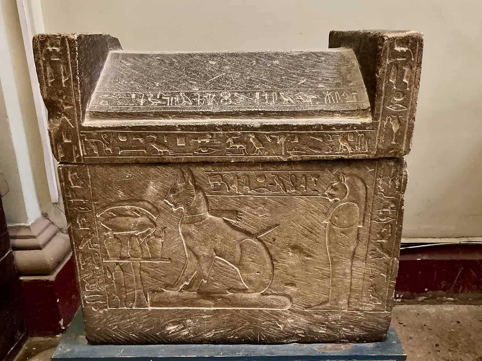 Discover Why Cats Were Worshipped in Ancient Egypt - A-Z Animals