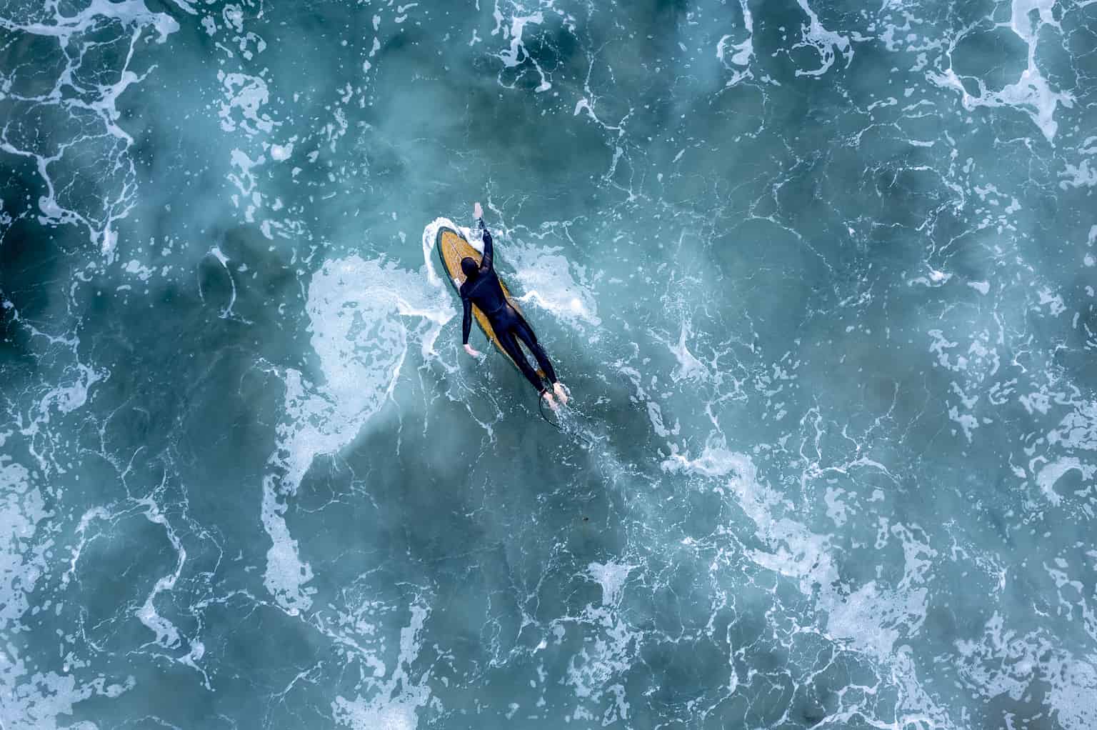Why Sharks Sometimes Bite Surfers By Mistake - A-Z Animals