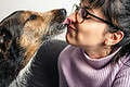 The Hidden Emotional Lives of Dogs: What Research Says About Joy, Fear ...