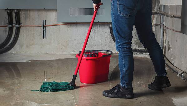 10 Natural Ways to Get Rid of Crickets Inside Your House