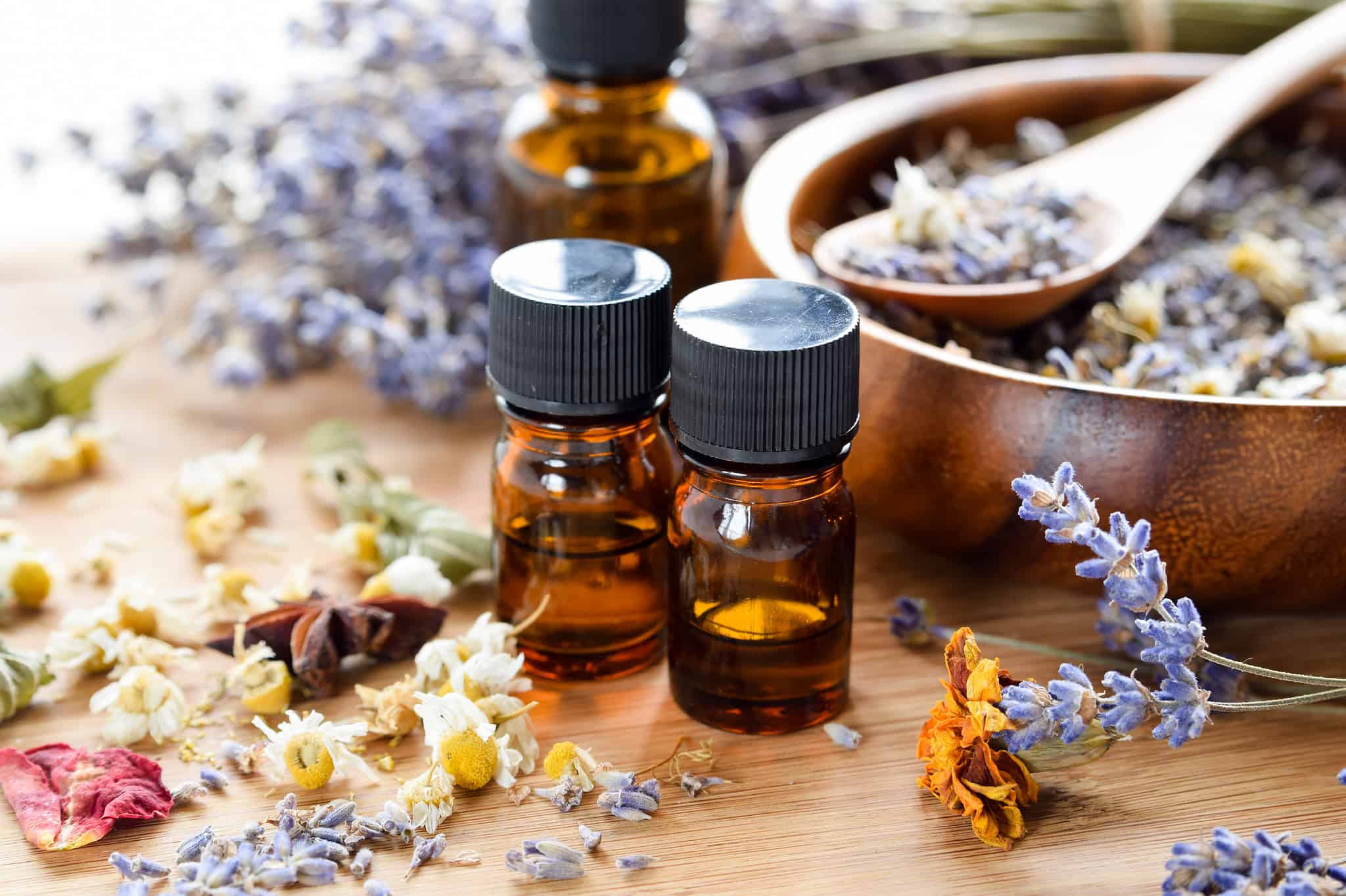 12 Effective Ways to Get Rid of Scorpions Naturally - A-Z Animals