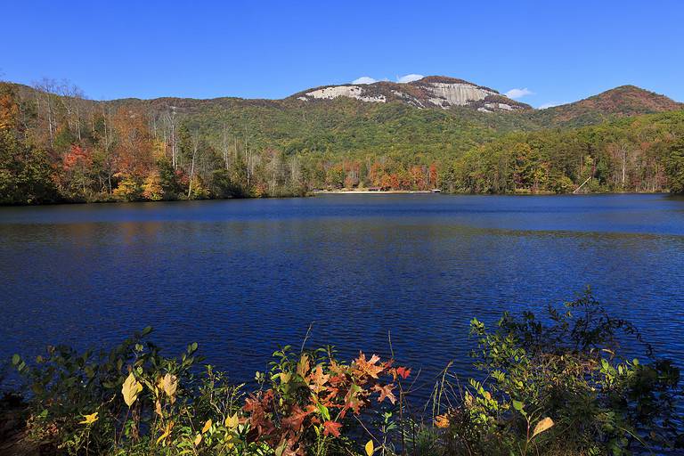 Remote lakes in south carolina to fish and swim - A-Z Animals