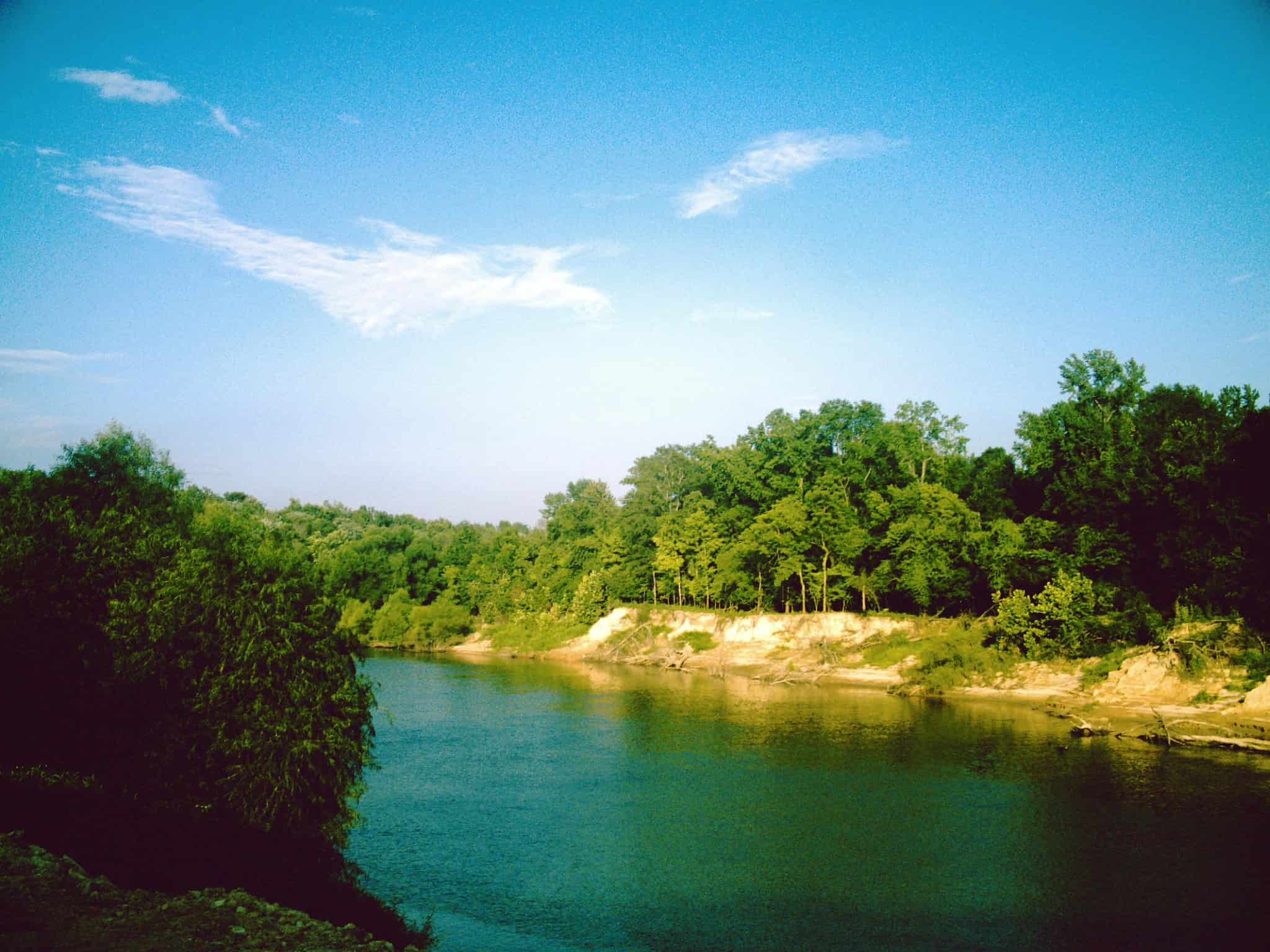 Louisiana's Alligator-Infested Rivers: Why The Ouachita River Is an ...