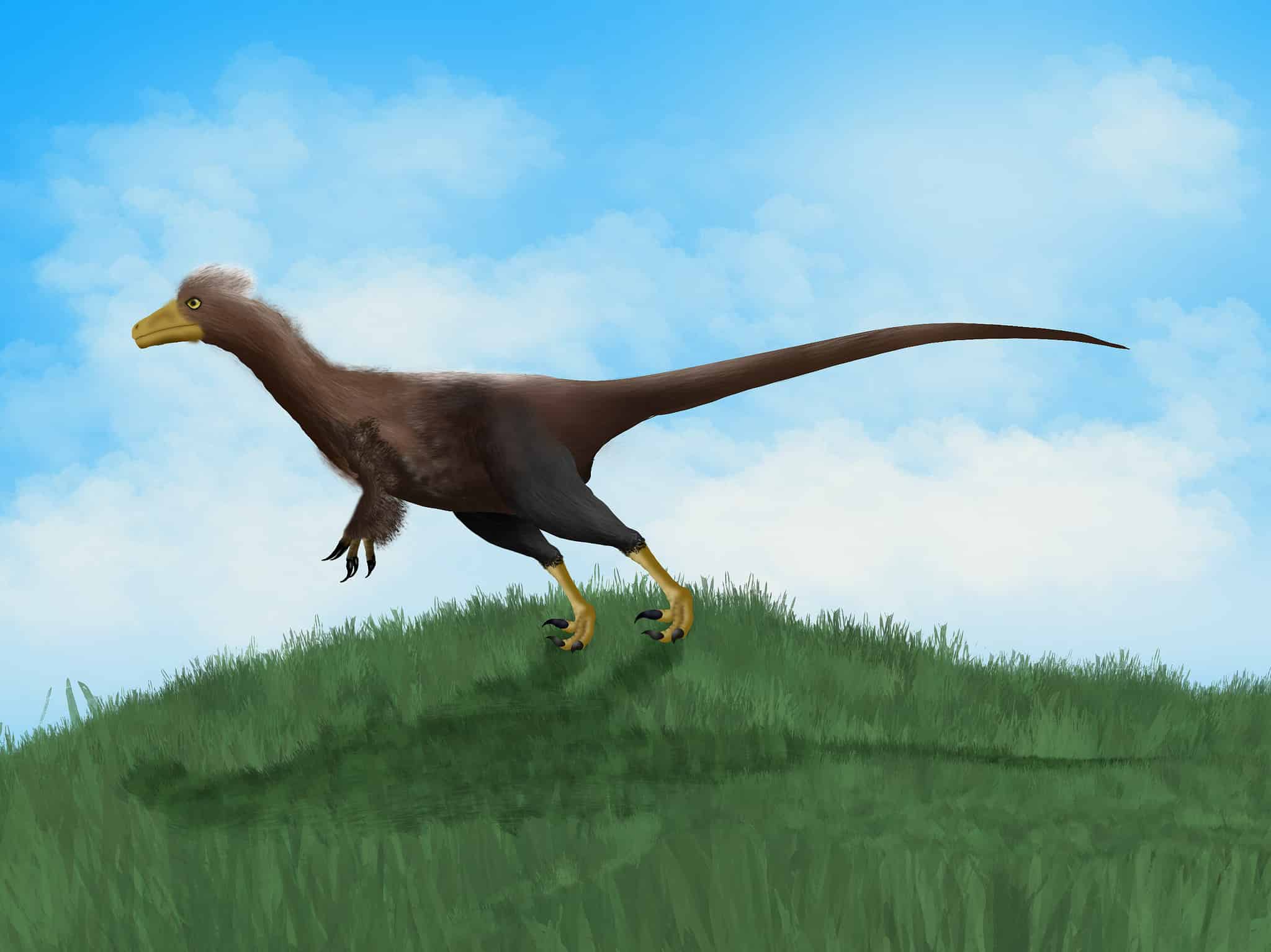 Discover the 19 Dinosaurs That Start With X - A-Z Animals