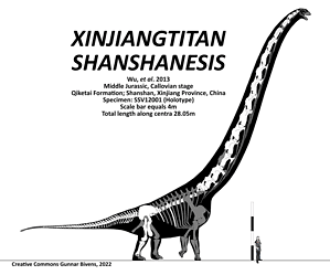 Discover the 19 Dinosaurs That Start With X - A-Z Animals