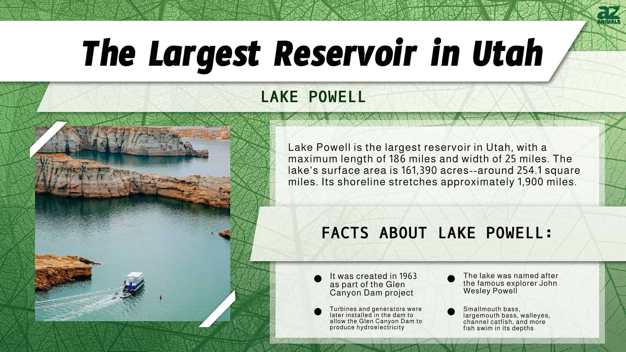 What's the Largest Man-Made Lake in Utah? - A-Z Animals