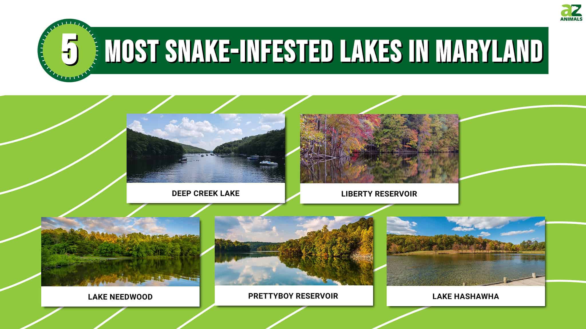 The Most Snake-Infested Lakes in Maryland - A-Z Animals