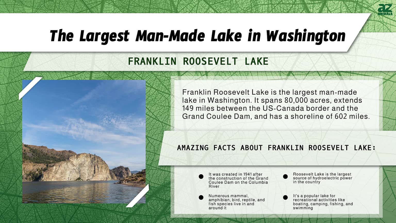What's the Largest Man-Made Lake in Washington? - A-Z Animals