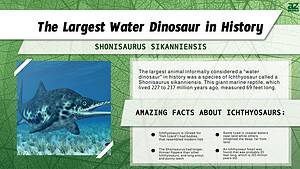 The Largest Water Dinosaur in History - A-Z Animals