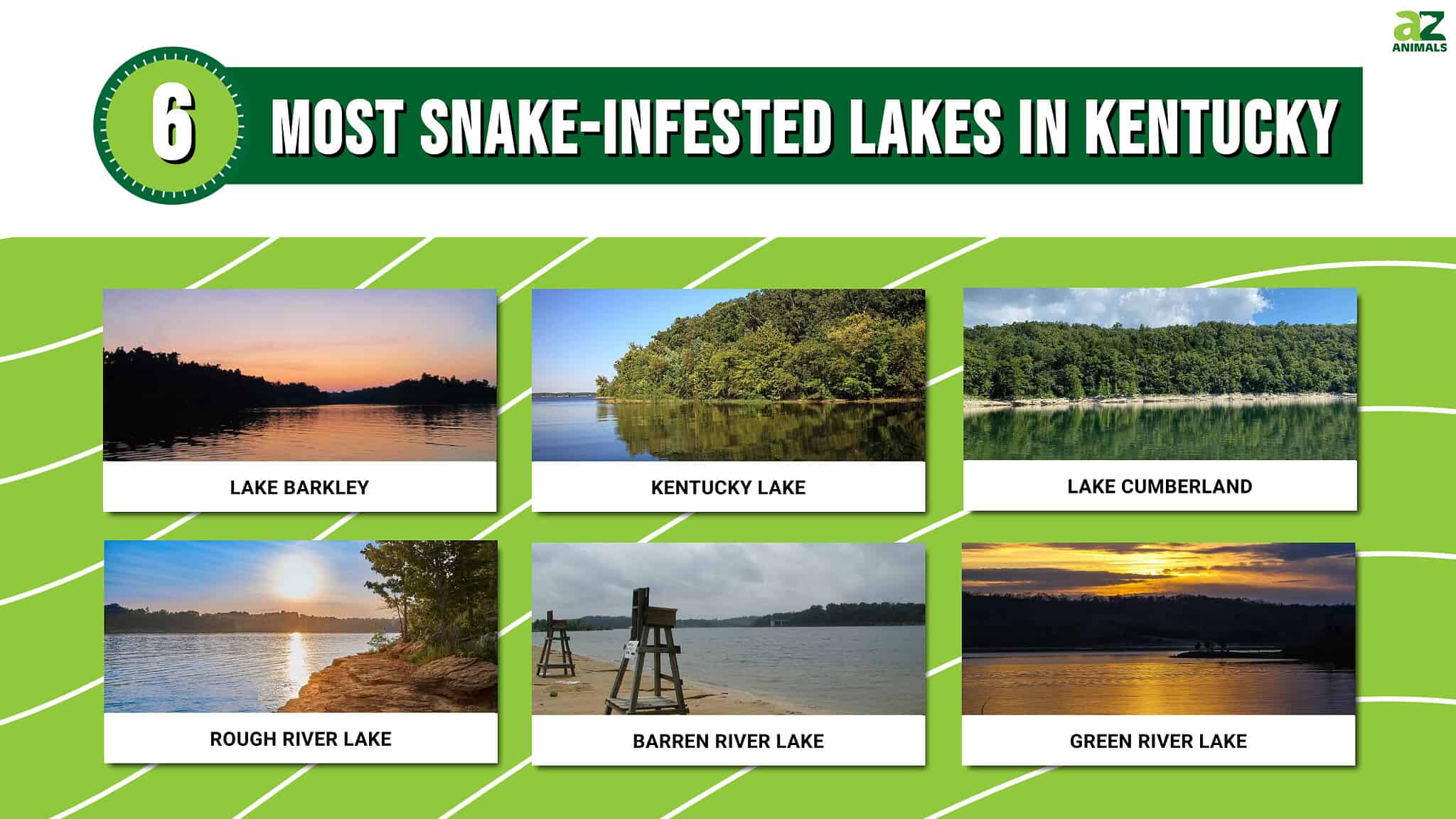 The 6 Most Snake-Infested Lakes in Kentucky