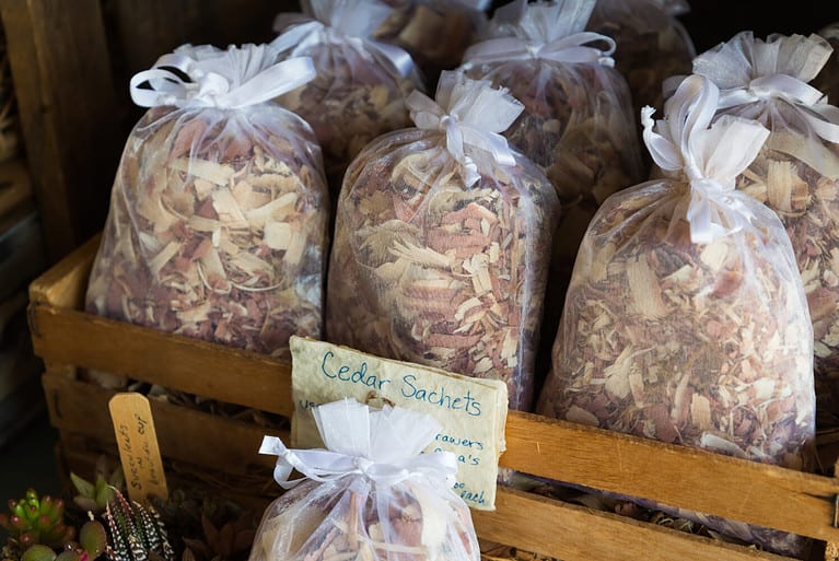 Does Cedar Repel Bugs? Yes! Here's How to Use It - A-Z Animals