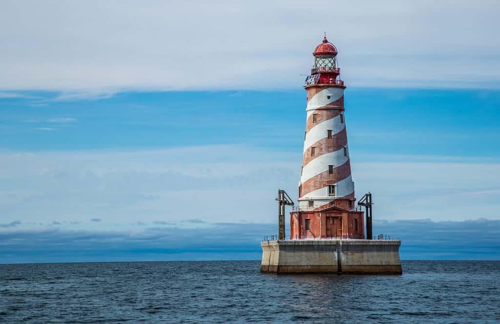 Discover 12 Creatures Living in Lake Michigan... Are Any Dangerous? - A ...