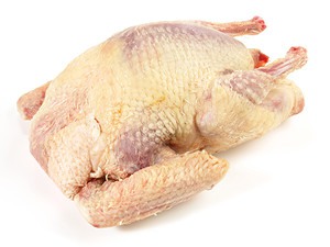 Pigeon Meat: 7 Things You Should Know About Squab - A-Z Animals