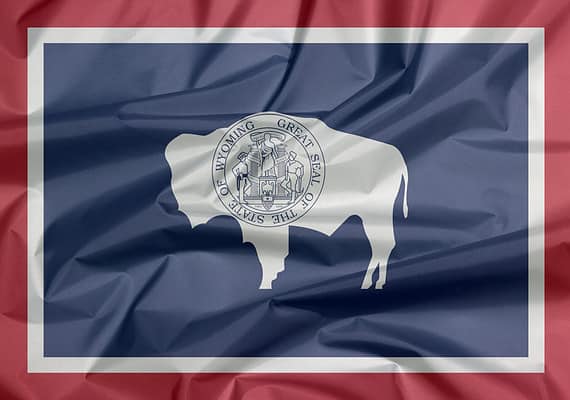 Why Wyoming’s Bison Outsized the Wolf, Elk, and Pronghorn for State ...