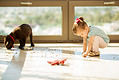 The 6 Most Common Causes of a Mouse Infestation in Your House - A-Z Animals