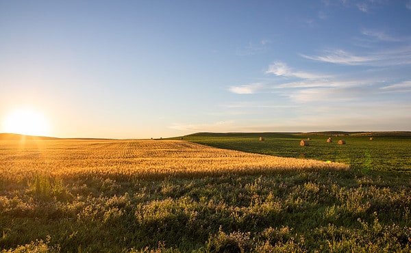 The Top 10 Most Valuable Crops Harvested in Michigan - A-Z Animals
