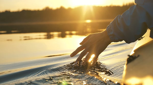 The Top 5 Most Alligator-Infested Rivers in Florida - A-Z Animals