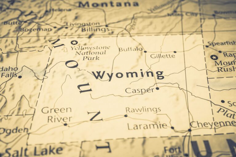 29 American States to Avoid if You Have a Fear of Scorpions - A-Z Animals