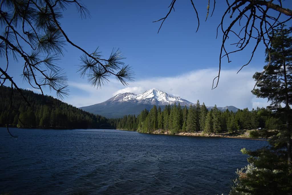 21 Mount Shasta Facts That Will Blow Your Mind - A-Z Animals