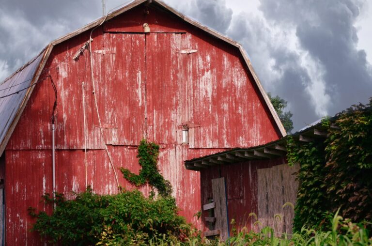 13 Appalachian Cryptids: Appearance, Behavior, and Location - A-Z Animals