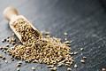 5 Smells that Attract Fish (How Effective Is It, Really?) - A-Z Animals