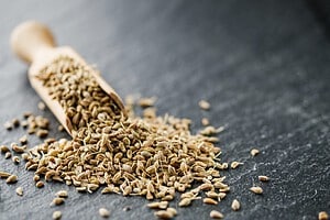 5 Smells that Attract Fish (How Effective Is It, Really?) - A-Z Animals