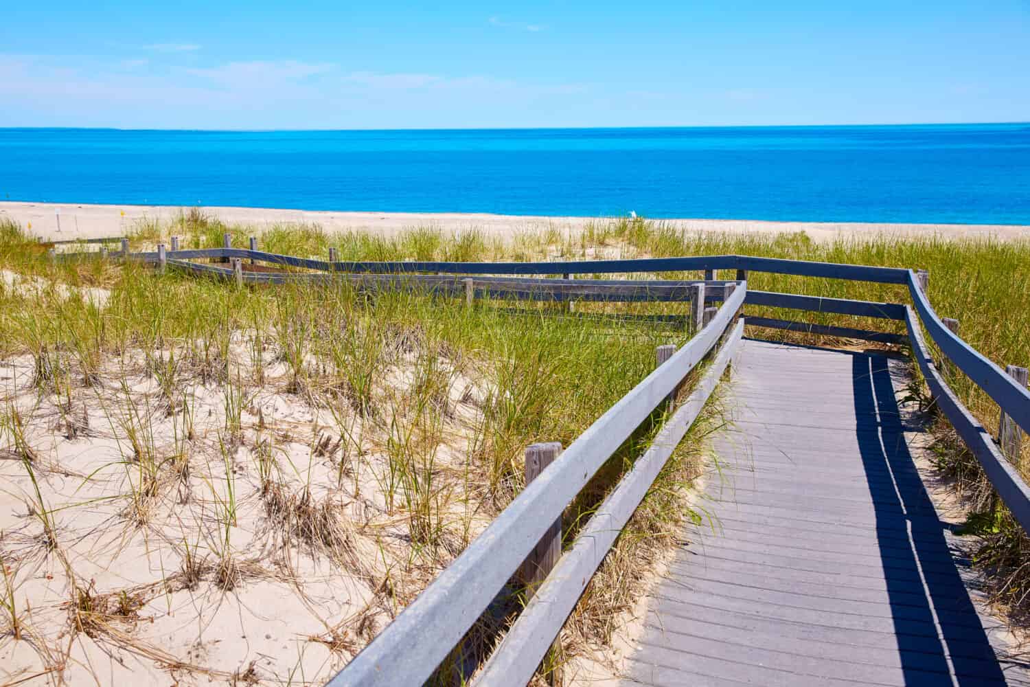 Sandy Neck Beach in Massachusetts Is 6 Miles of Perfection - A-Z Animals