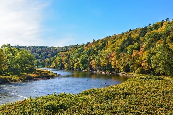 The 14 Best Things You Can Still Plant in Pennsylvania in October - A-Z ...
