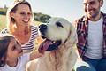 11 Reasons Labrador Retrievers Are the Perfect Family Dog - A-Z Animals