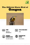 Discover the Official State Bird of Oregon - A-Z Animals