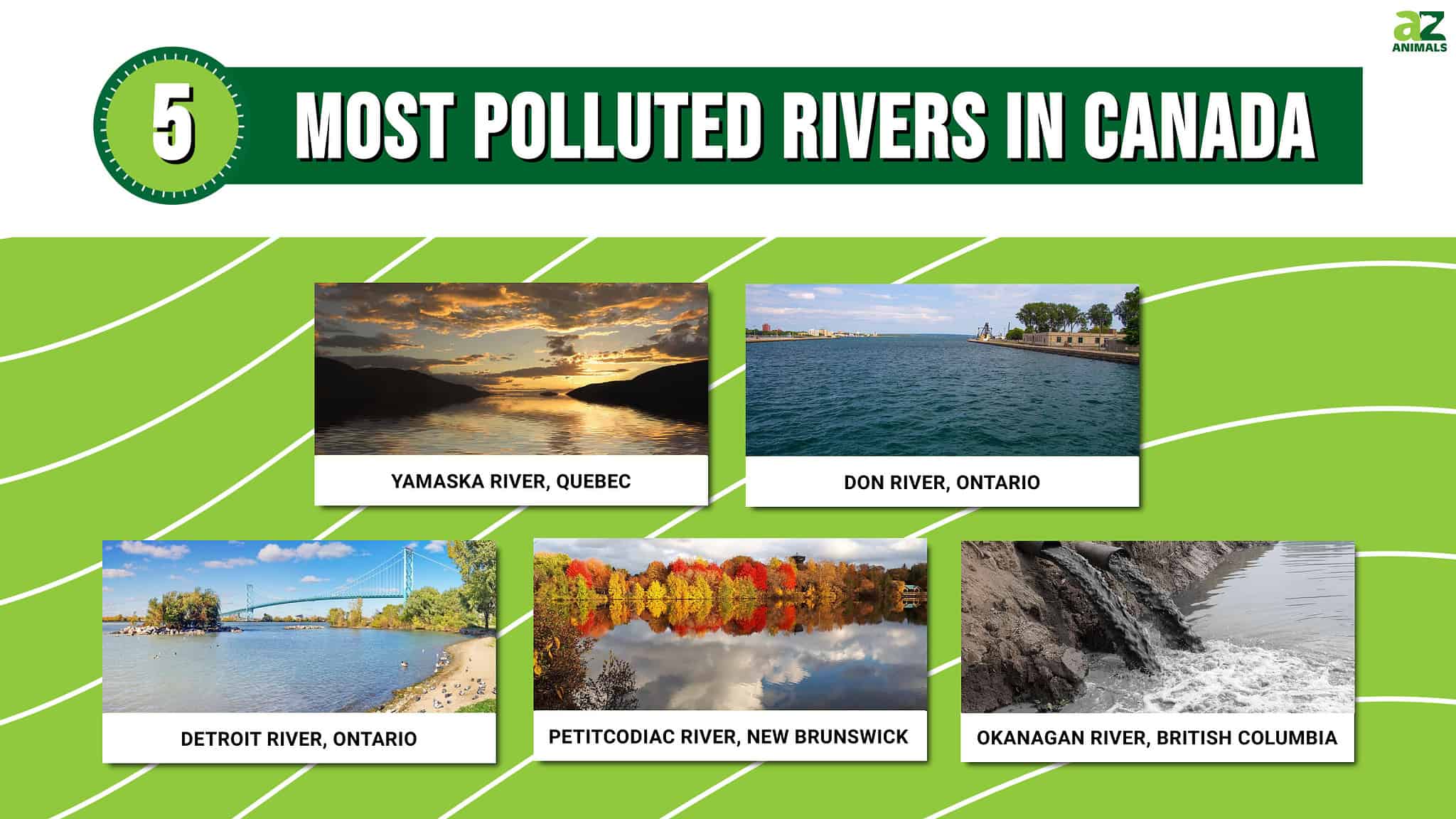 Discover the 5 Most Polluted Rivers in Canada