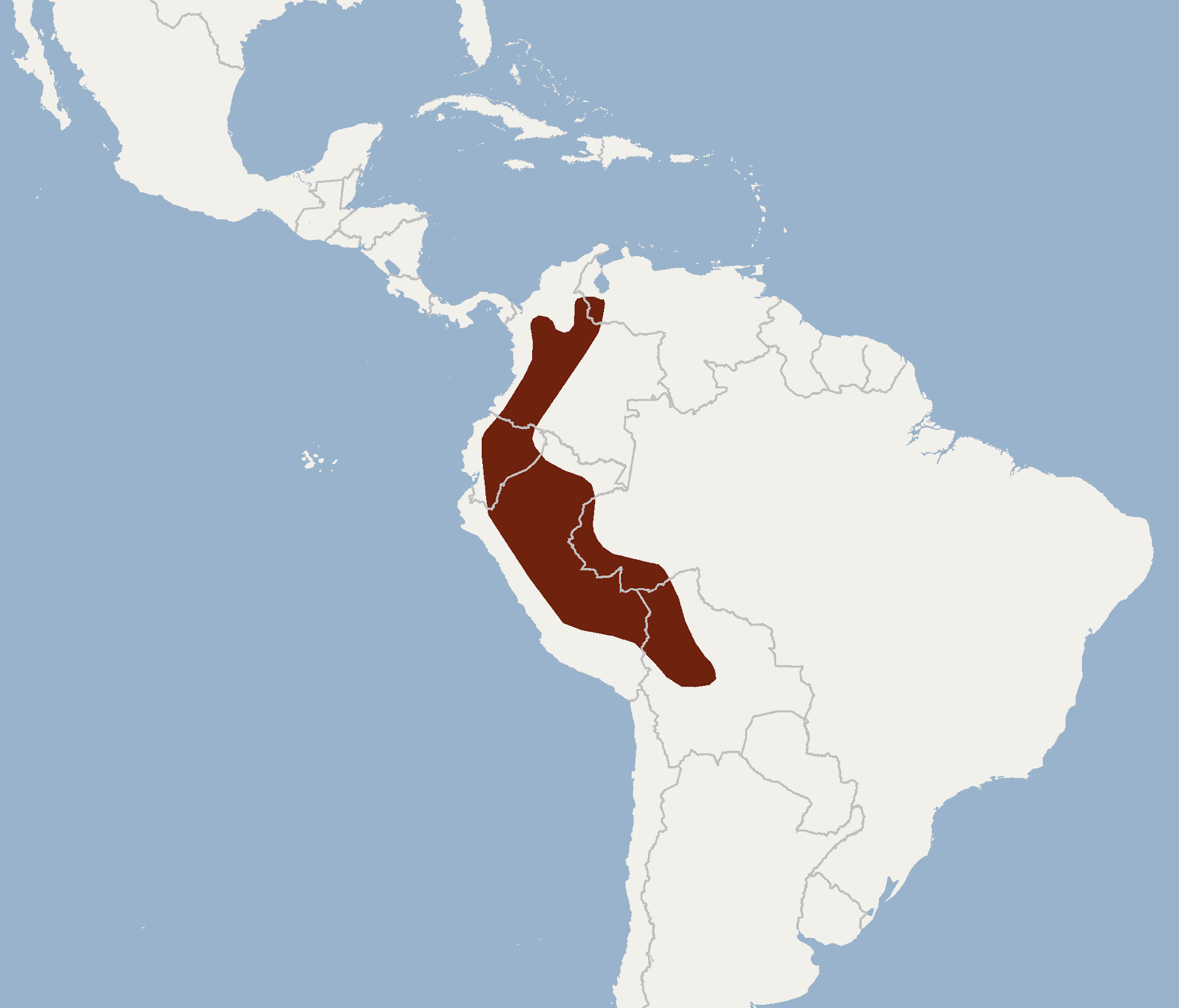 Meet the Pacarana: The Large and Slow-Moving Rodent of South America ...