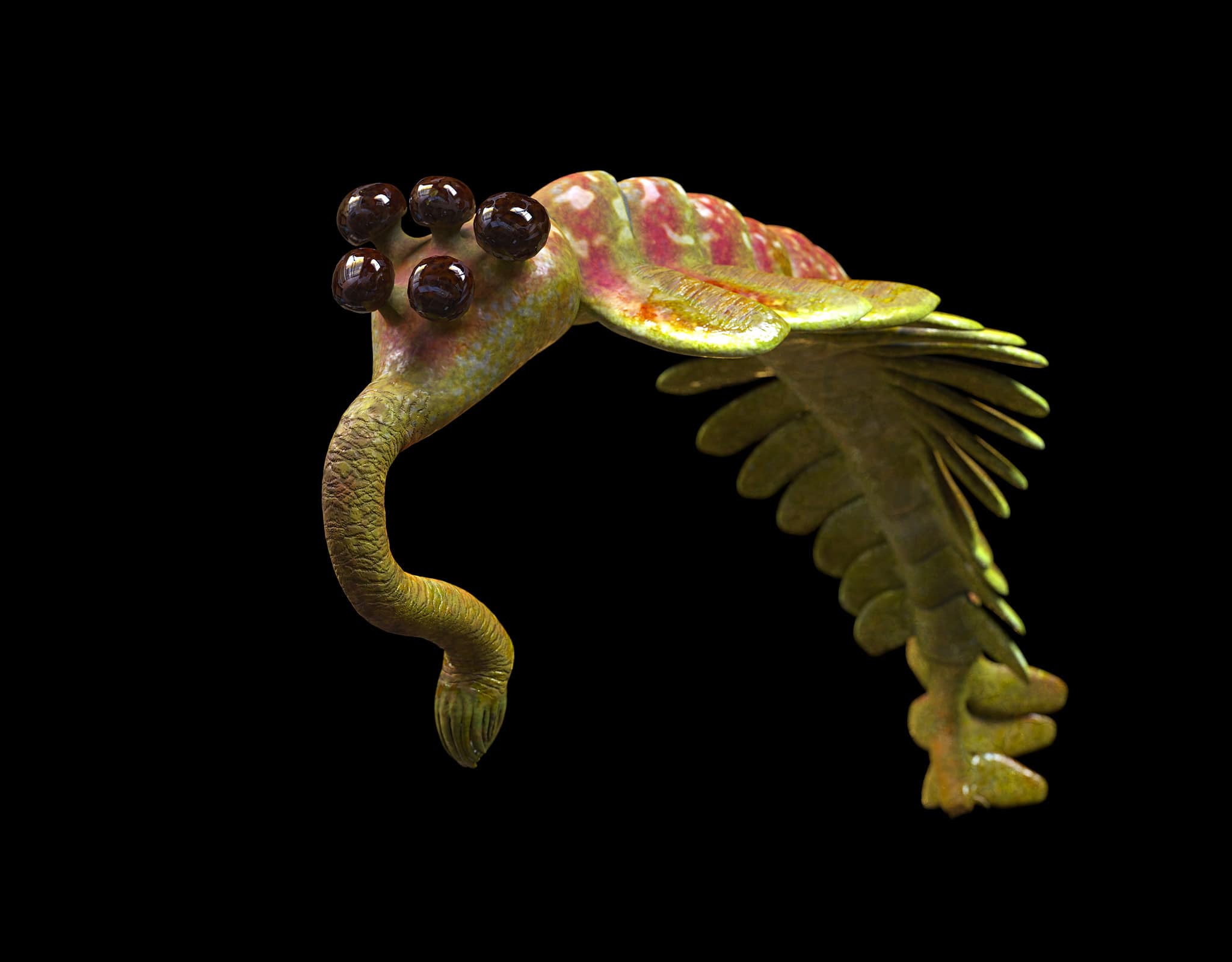 Nature’s Multi-Eyed Marvels: 16 Examples - A-Z Animals