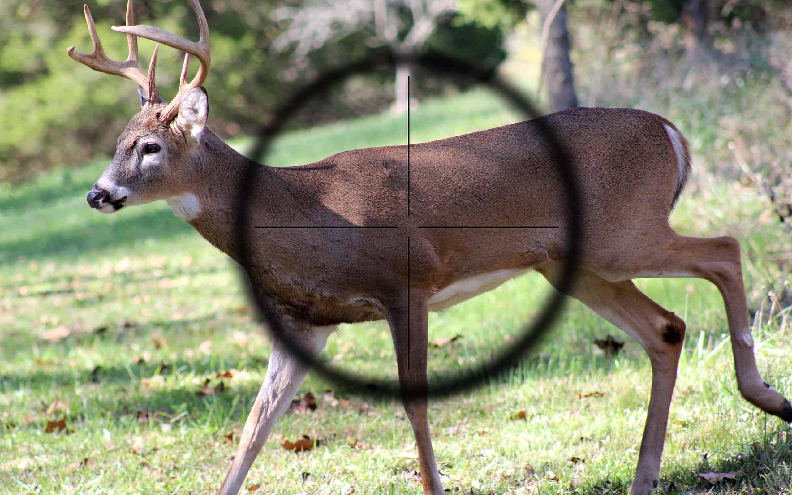 Hunting in Indiana: 5 Great Public Hunting Lands - A-Z Animals